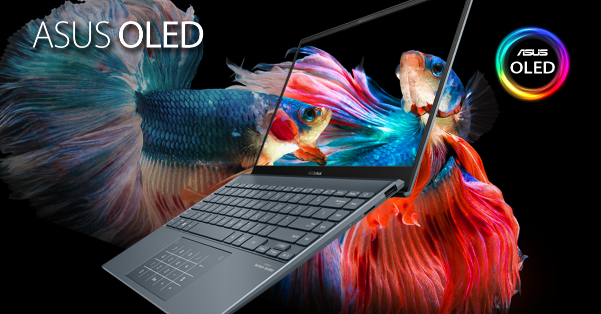 ASUS OLED :: AsusPlus